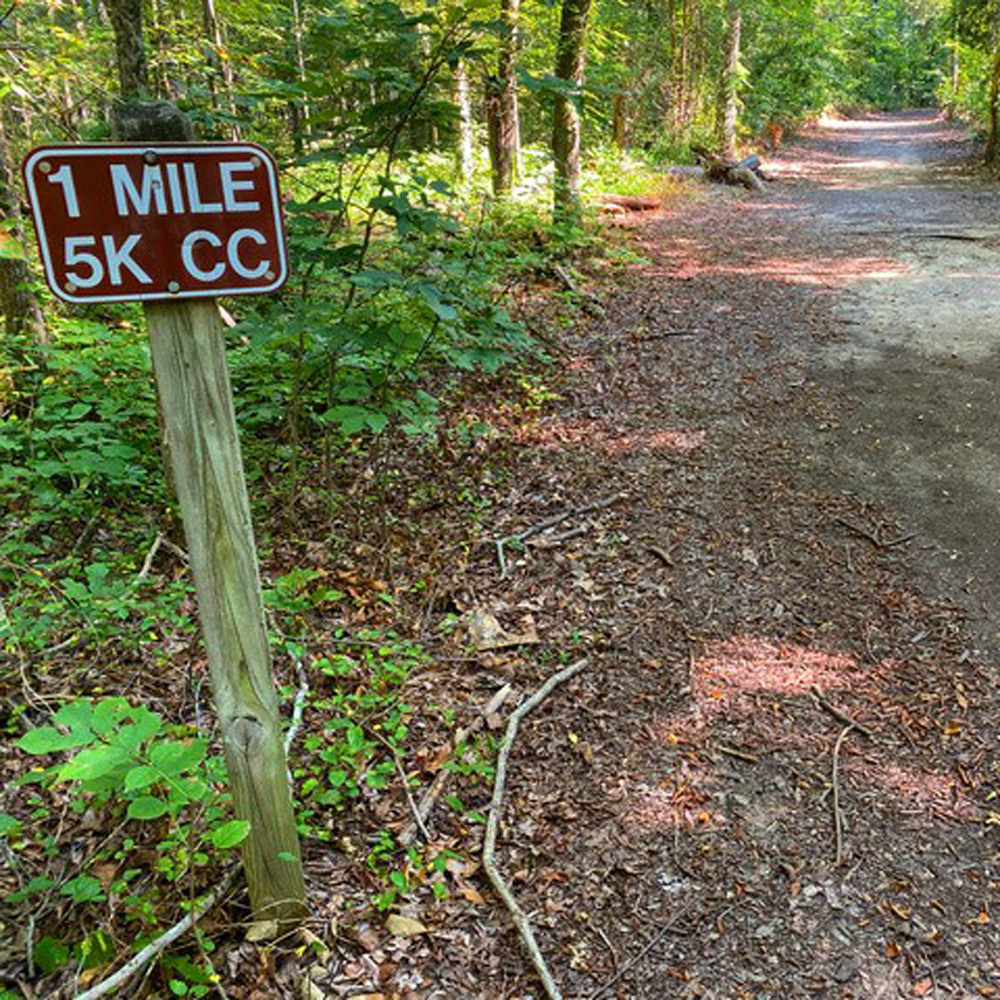 Step up your pace with trail running: 5 NC trails for beginners | Blue ...