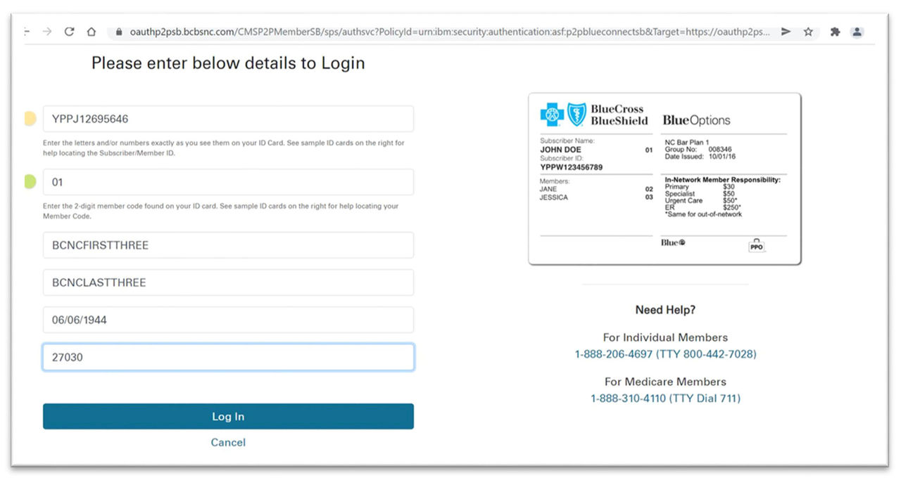 Developer sandbox | Policies & best practices | Blue Cross NC